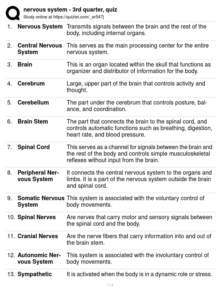 nervous-system-3rd-quarter-quiz reviewer | PDF | Nervous System | Central Nervous System