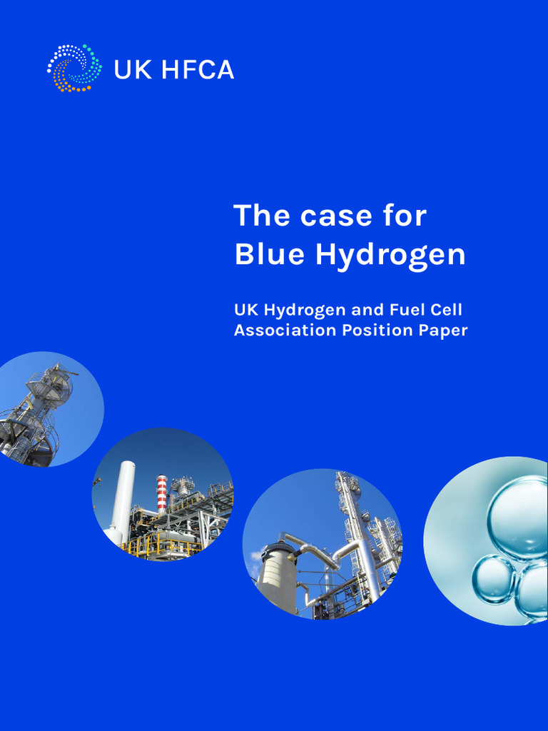 UK Blue Hydrogen Strategy for Net Zero | PDF | Low Carbon Economy ...