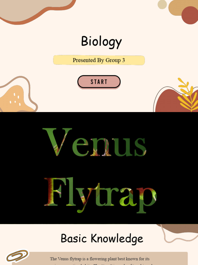 Venus Flytrap | PDF | Plants | Botany