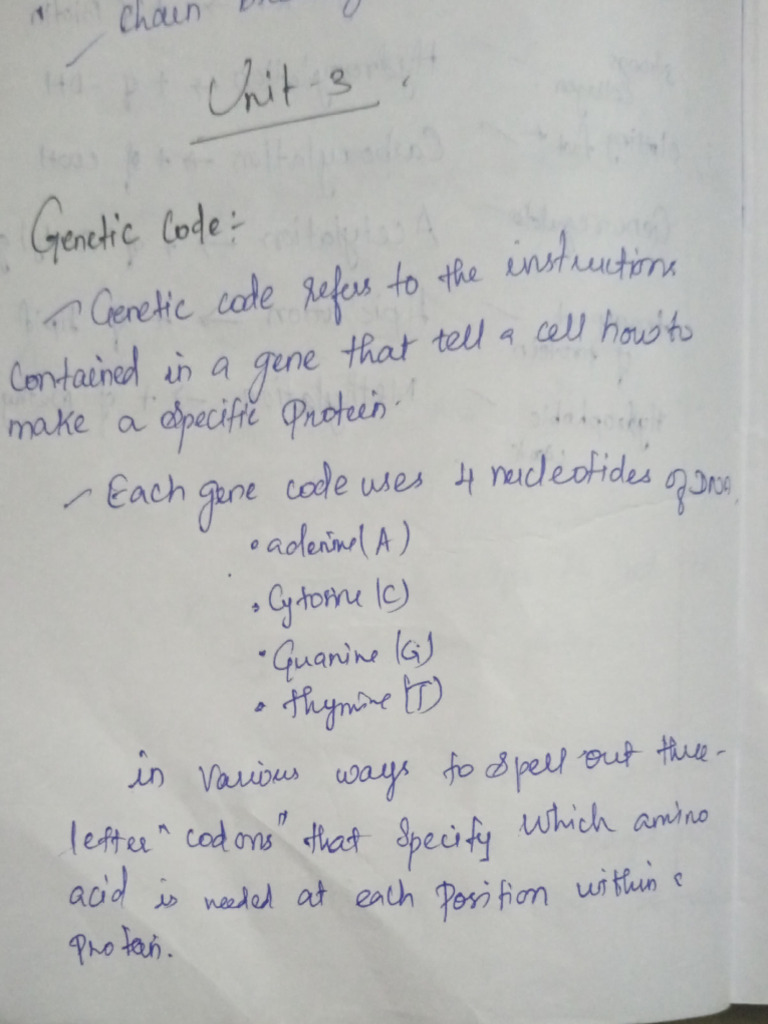 Unit 3 Mol Bio | PDF