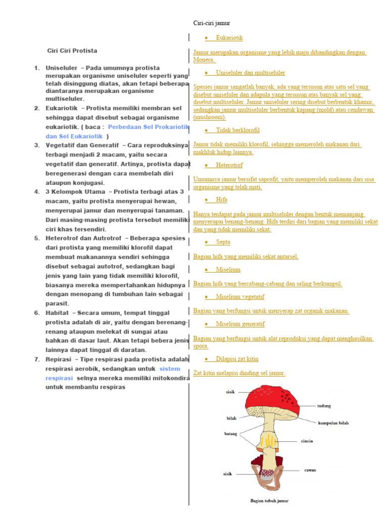 Ciri Ciri Protista | PDF