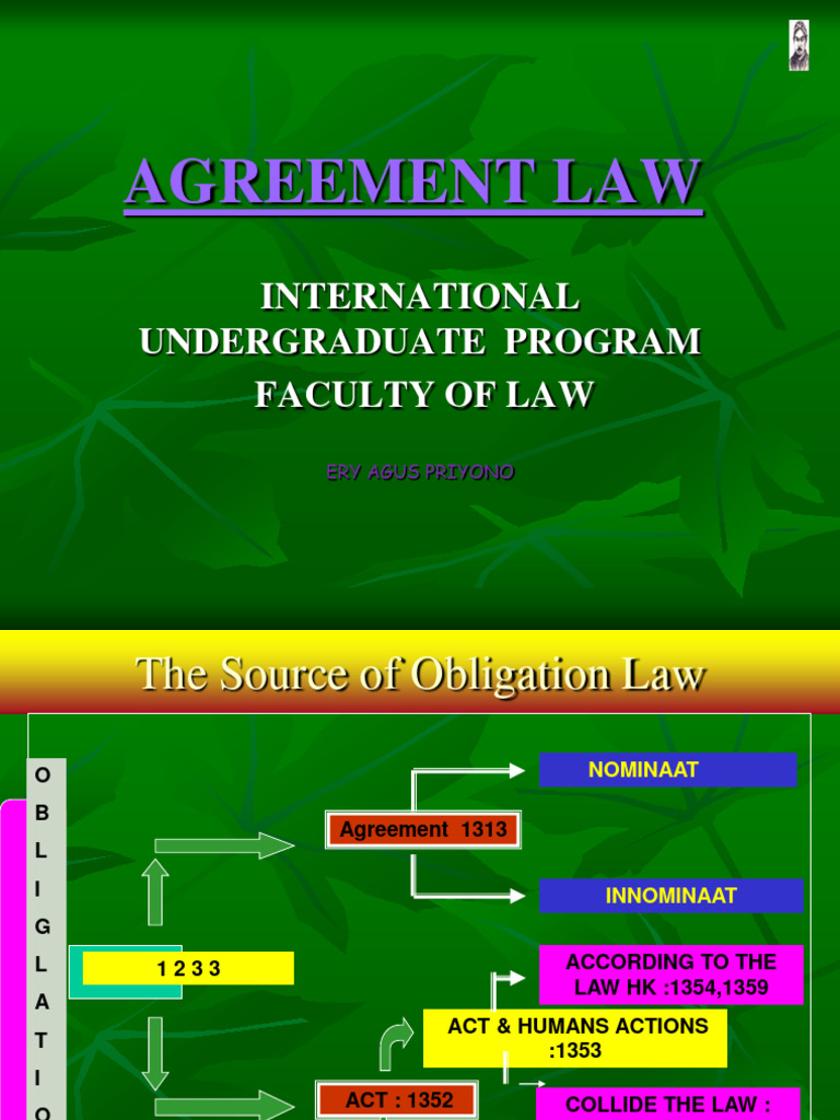Understanding International Agreement Law | PDF