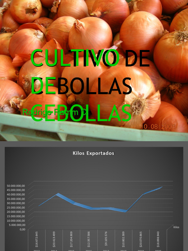 Guía Completa sobre Cultivo de Cebollas | PDF | Agricultura | Horticultura