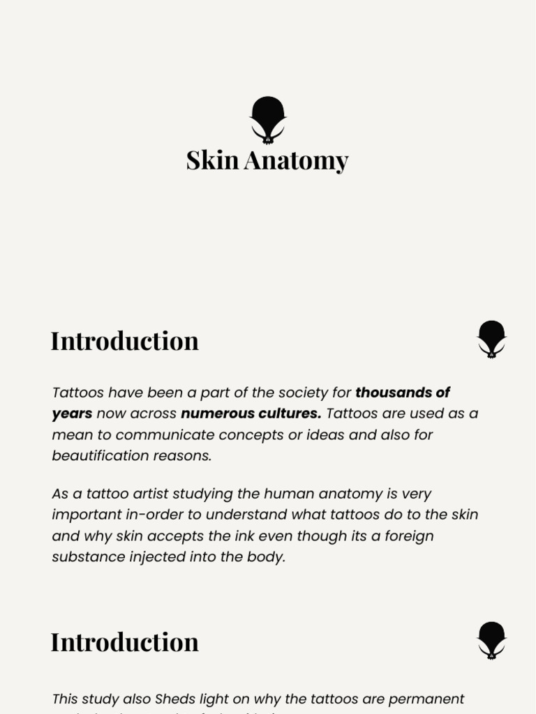 Skin Anatomy | PDF | Skin | Epidermis