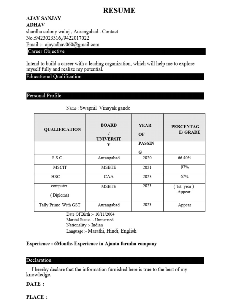 Ajay Adhav Resume | PDF