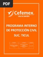 Machote Plan Interno de Proteccion Civil | PDF | Defensa Civil | Riesgo