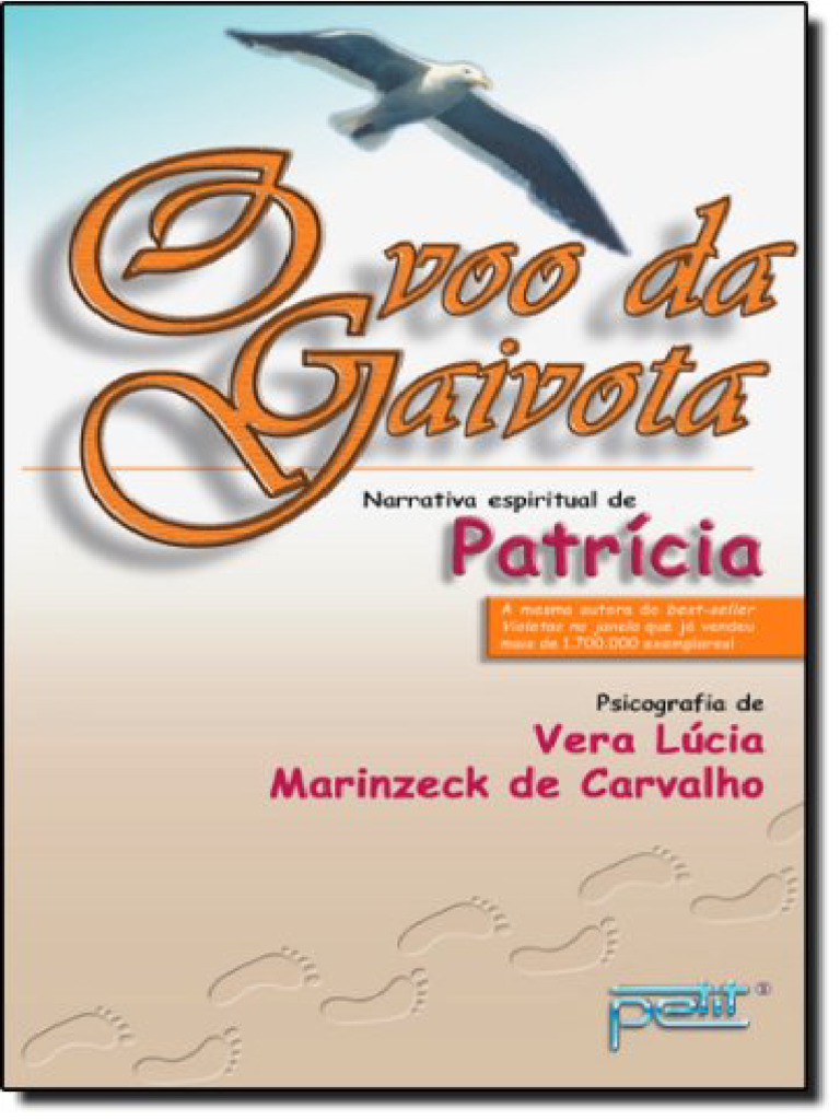 Resumo o Voo Da Gaivota Vera Lucia Marinzeck de Carvalho | PDF