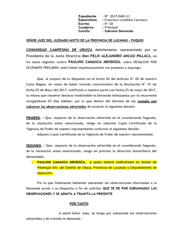 Subsana Demanda - CC Uruiza - Paulino Camasca Mendoza | PDF