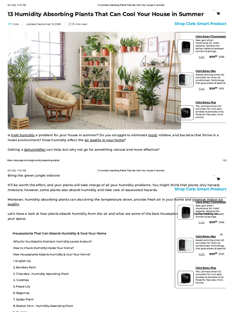 13 Humidity Absorbing Plants That Can Cool Your House in Summer | PDF ...