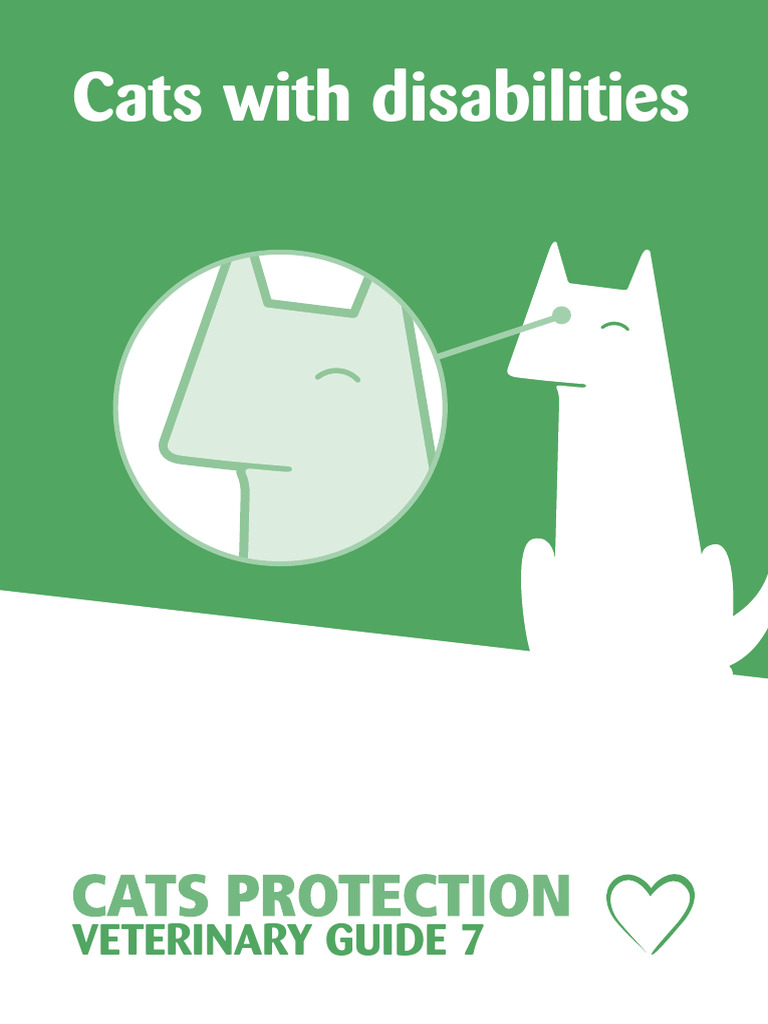 vg07 Cats With Disabilities | PDF | Hearing Loss | Visual Impairment