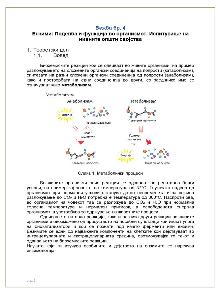 Vezba Br.4 Opsti Osobini Na Enzimi | PDF