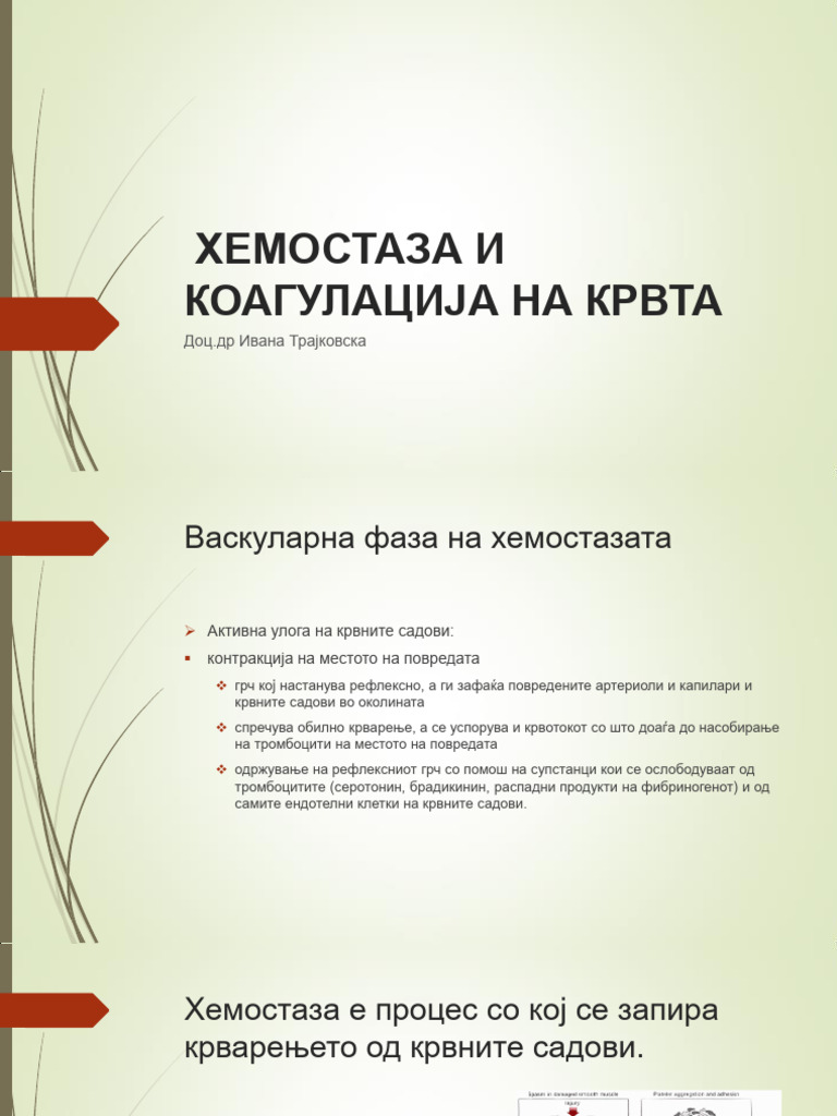 Hemostaza Koagulacija I Tromboza 3 | PDF