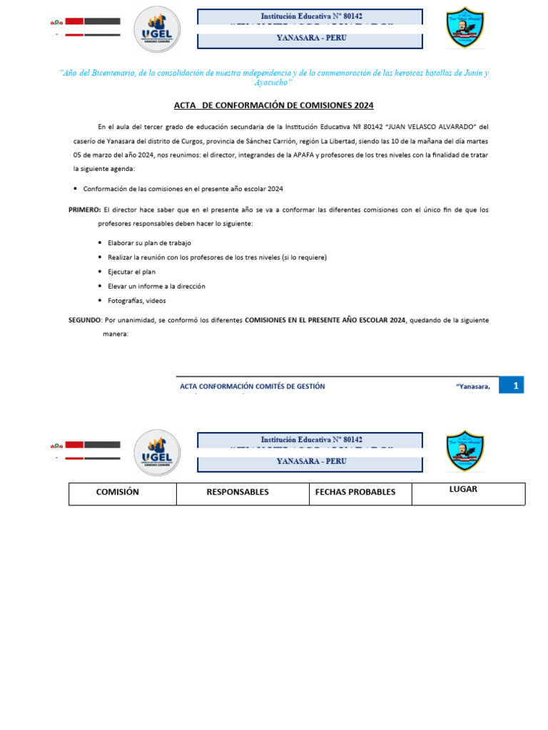 Acta Conformación Comisiones 2024 | PDF