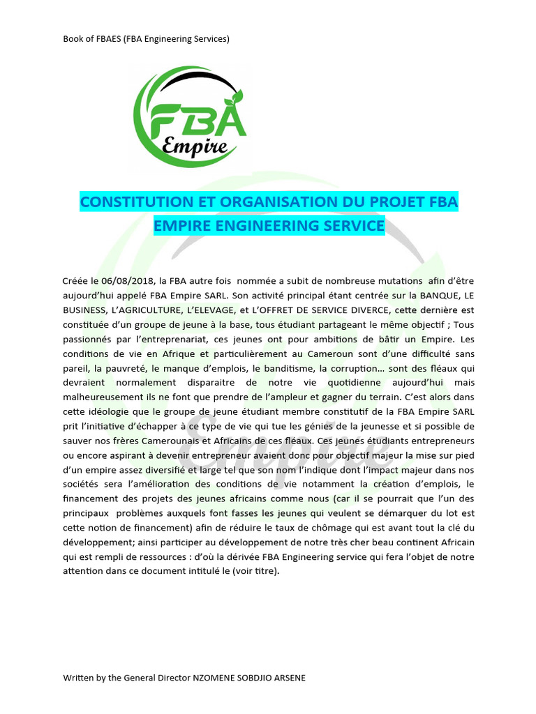 Livre Fba Engineering Services | PDF | Actionnaire | Afrique