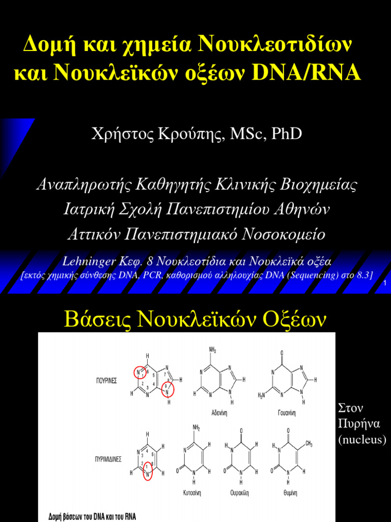 Δομή Και Χημεία Νουκλεοτιδίων Και Νουκλεϊκών Οξέων Dna/Rna: Χρήστος ...