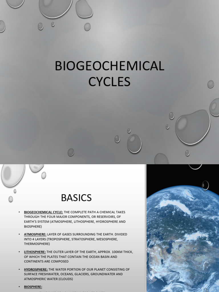 4_Biogeochemical_Cycles | PDF | Plate Tectonics | Earth Sciences