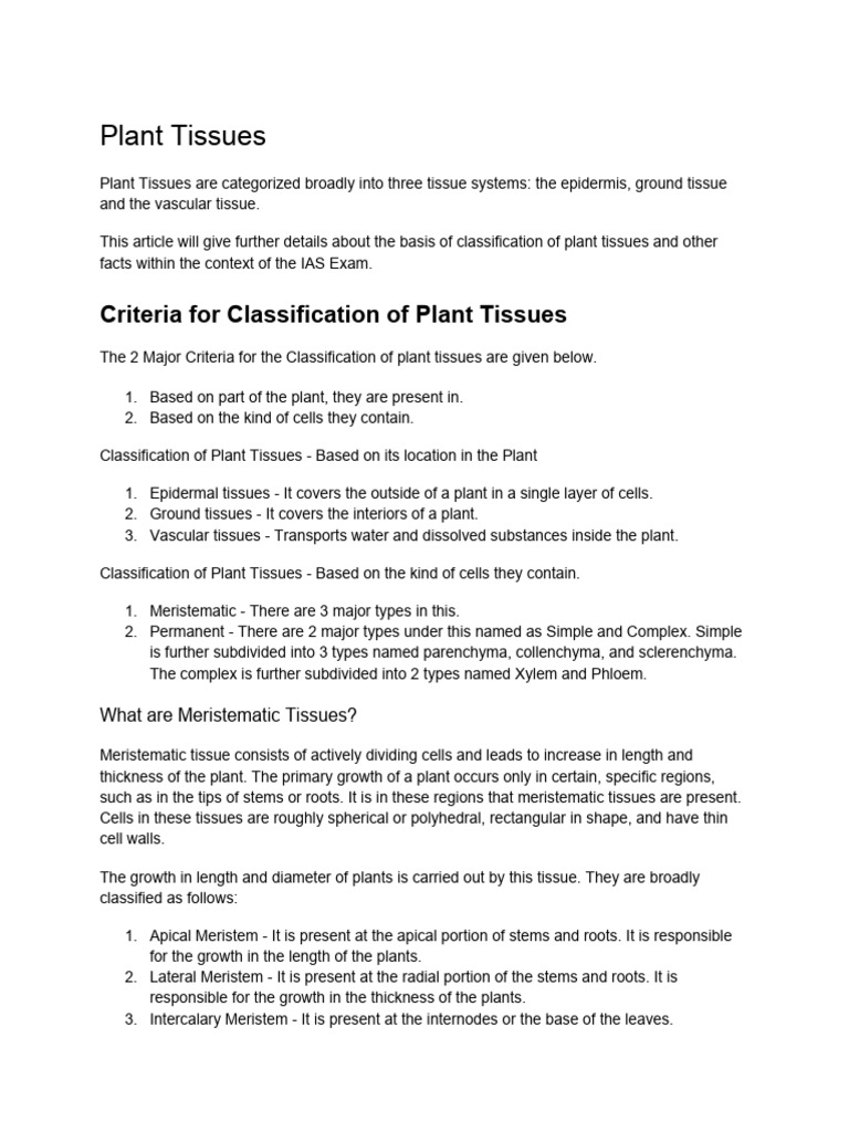 Plant Tissues | PDF | Tissue (Biology) | Eukaryotes