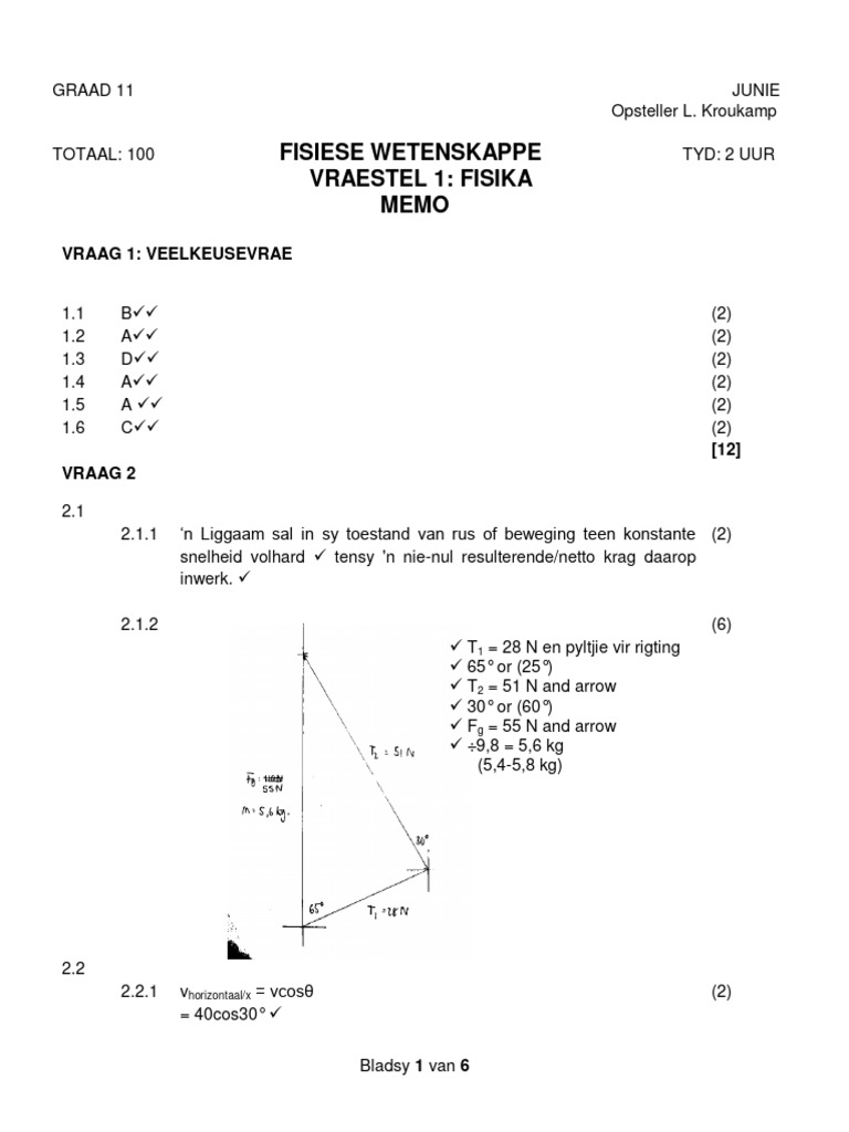 Graad11 Fisiese-Wetenskap-Memo Luize Kroukamp | PDF