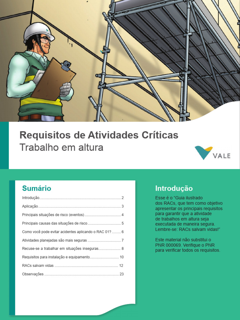 Guia Ilustrado RAC 1 | PDF