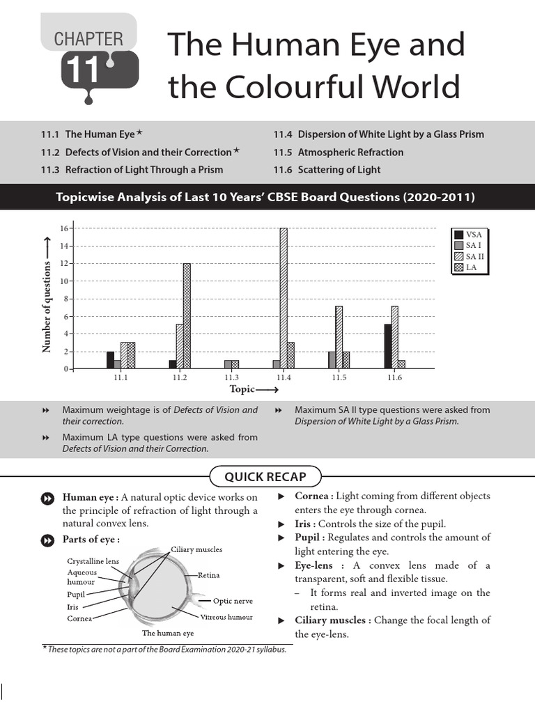 The Human Eye | PDF | Eye | Human Eye