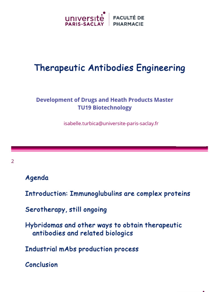Antibody Engineering 2023 | PDF | Monoclonal Antibody | Antibody