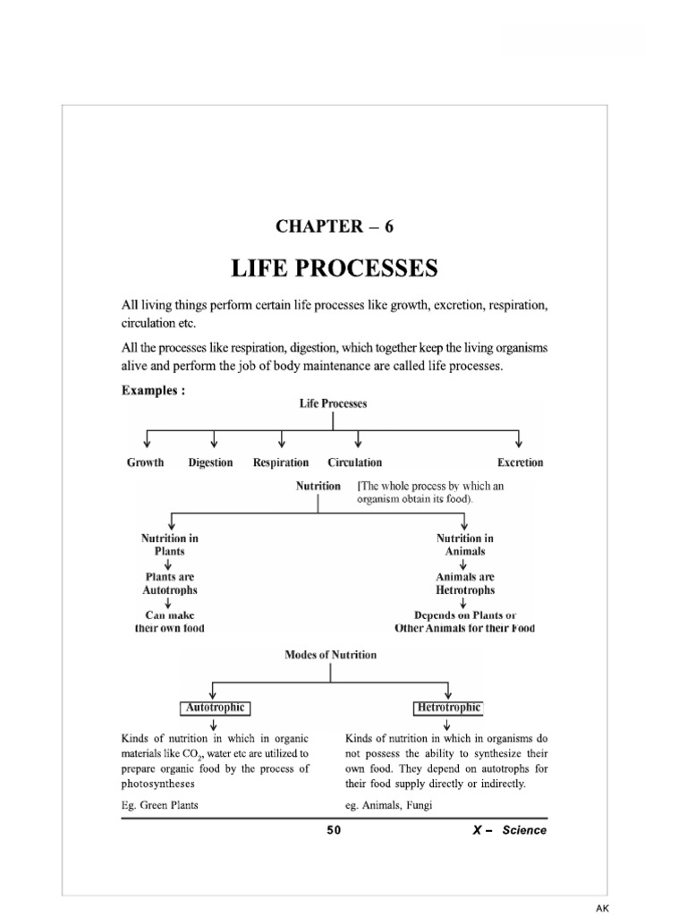 Life Process | PDF