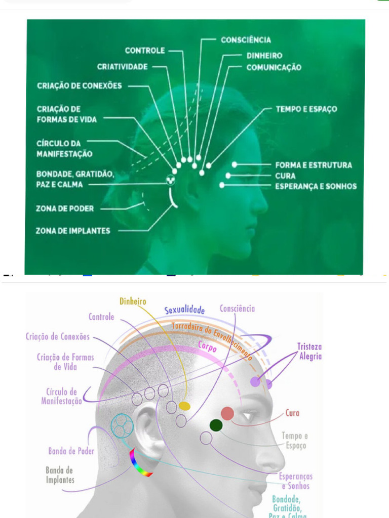 Barra de Acess | PDF