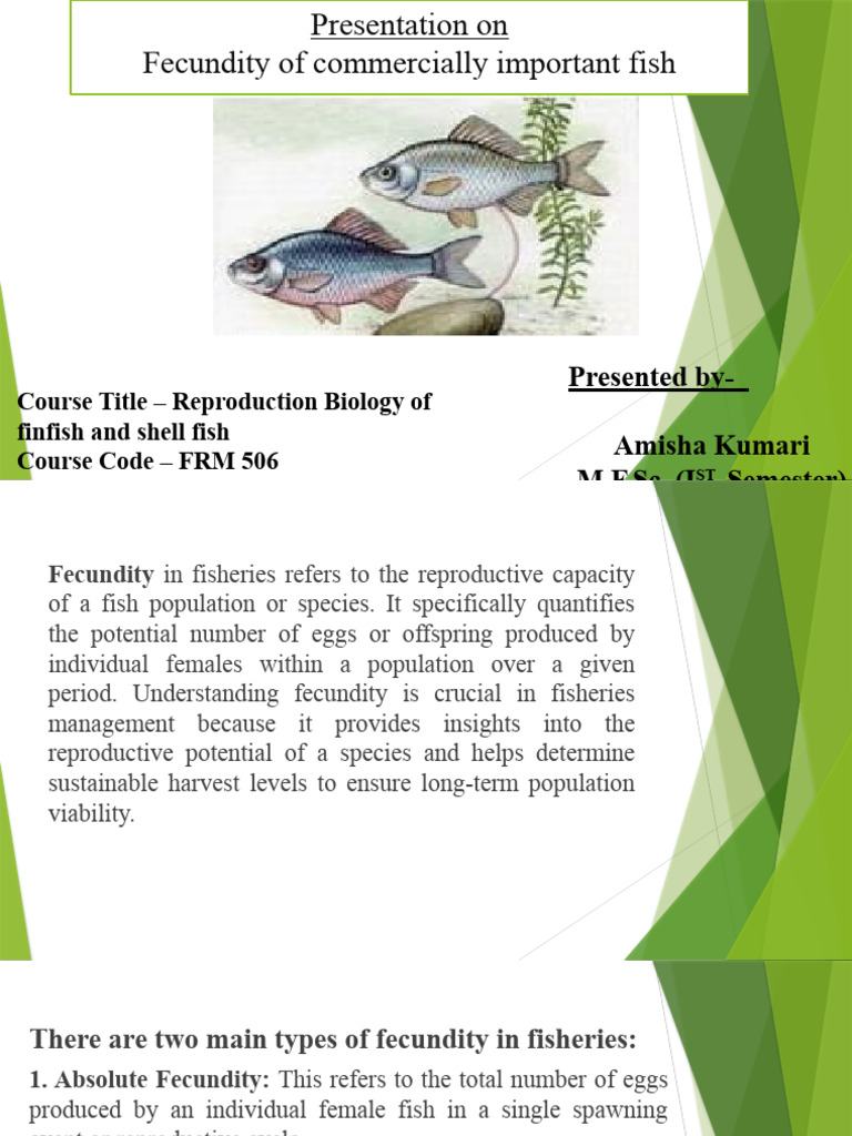 Amisha - Reproductive Biology Presentation | PDF | Fish
