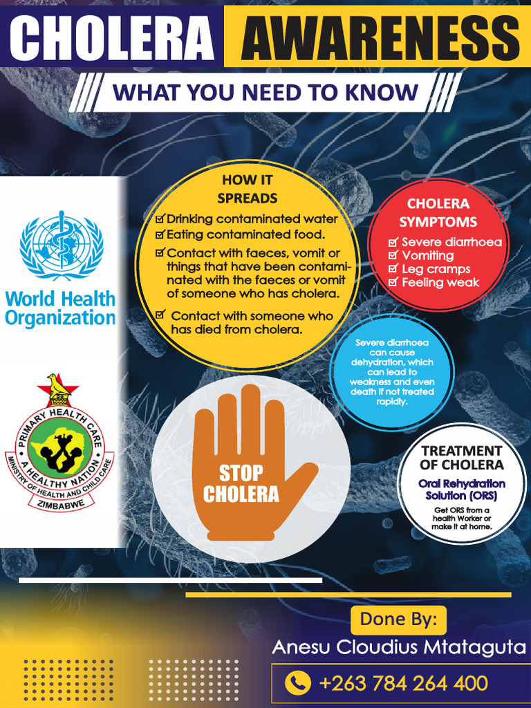 Anesu Cholera Awareness Flyer-1 | PDF