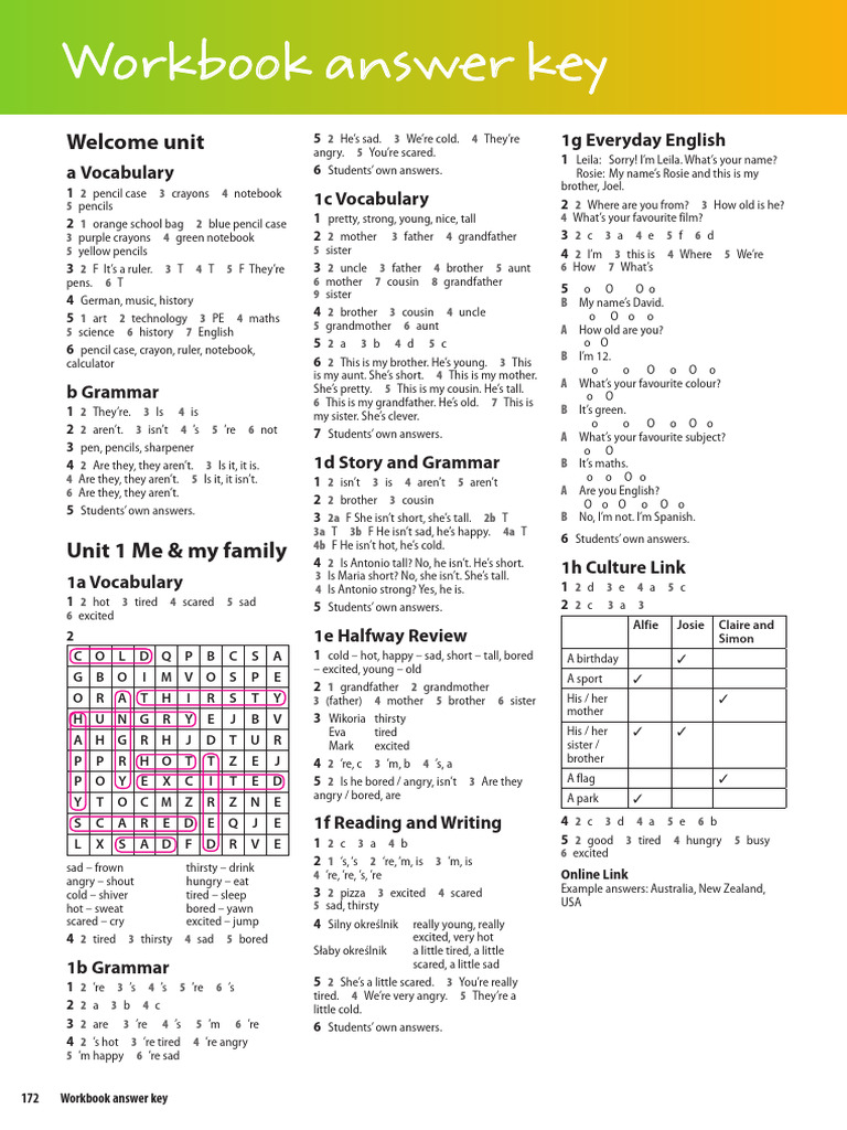 Link IV Workbook Answer Key | PDF | Lunch