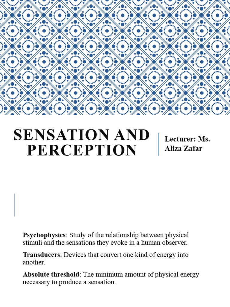 Sensation and Perception | PDF | Perception | Senses
