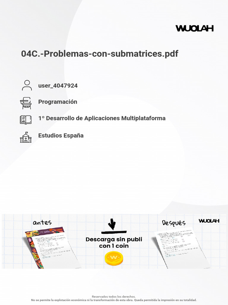 Wuolah Free 04C. Problemas Con Submatrices | PDF | Informática