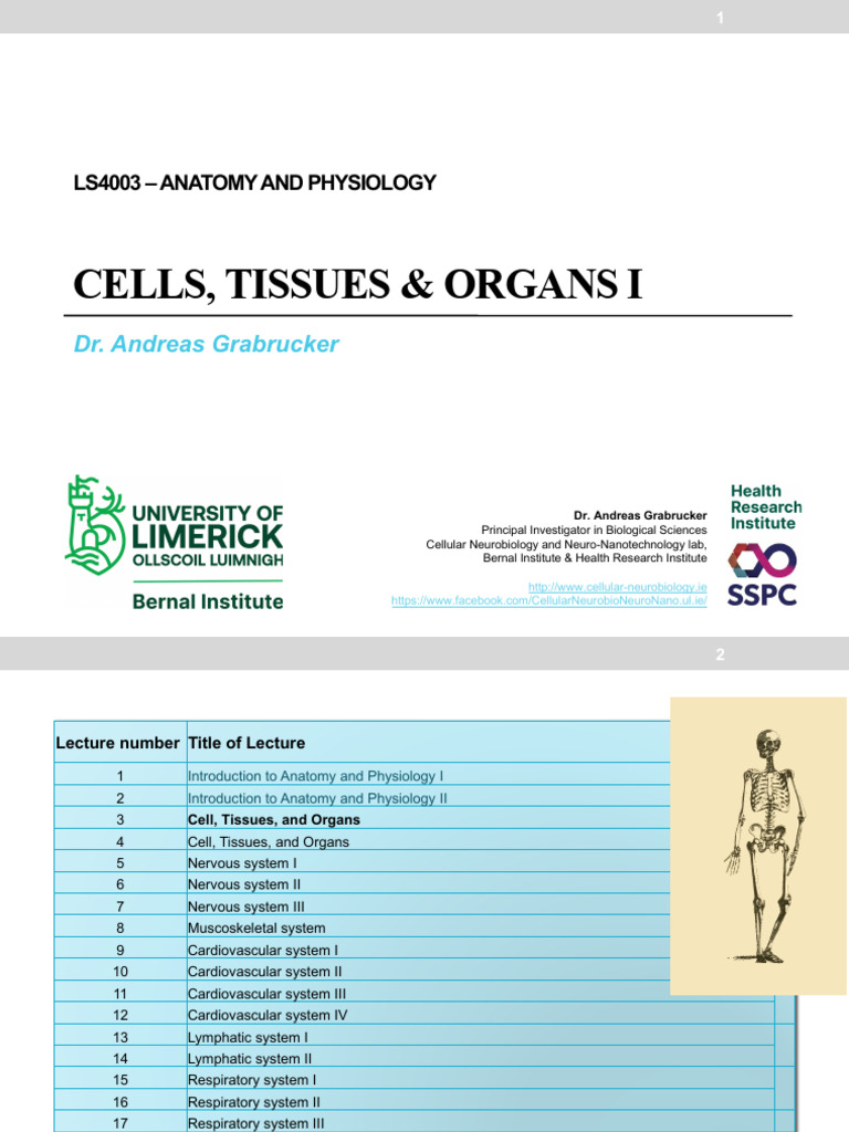 LAb Demonstration For Fluids Dynamics | PDF