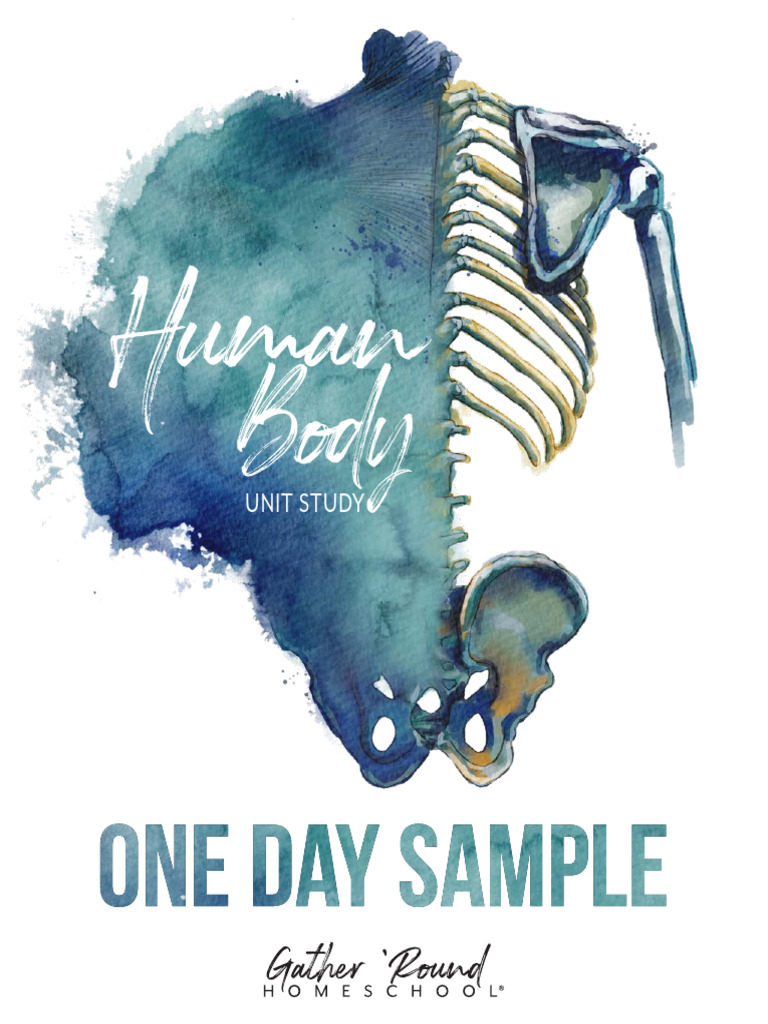 Human Body One Day Sample | PDF | Thorax | Bone