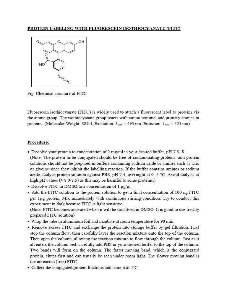 Protein Labelling With FITC | PDF