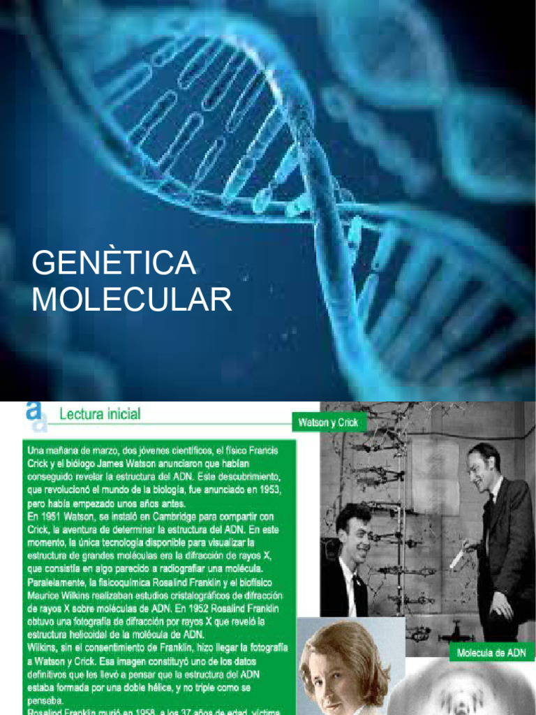 Genética Molecular | PDF