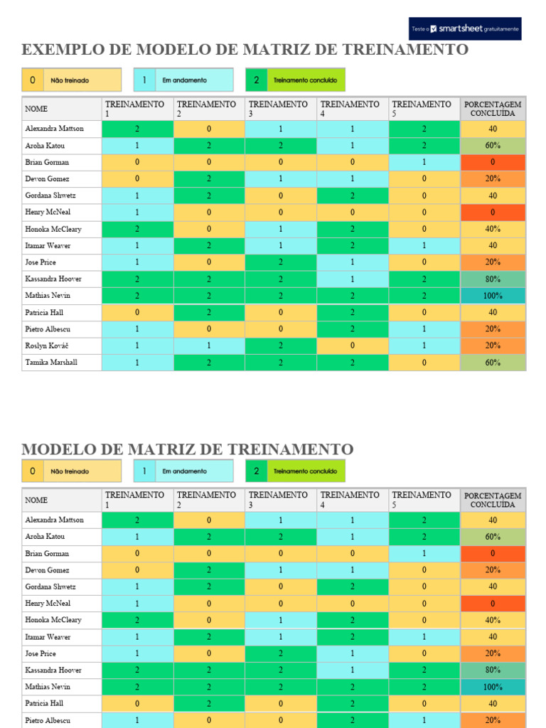 IC Training Matrix Template Sample 11623 - WORD - PT | PDF