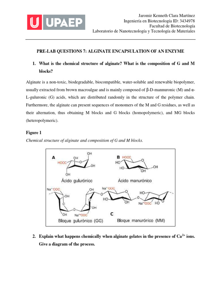 Pre-Lab Questions 7 - Alginate Encapsulation of An Enzyme | PDF ...