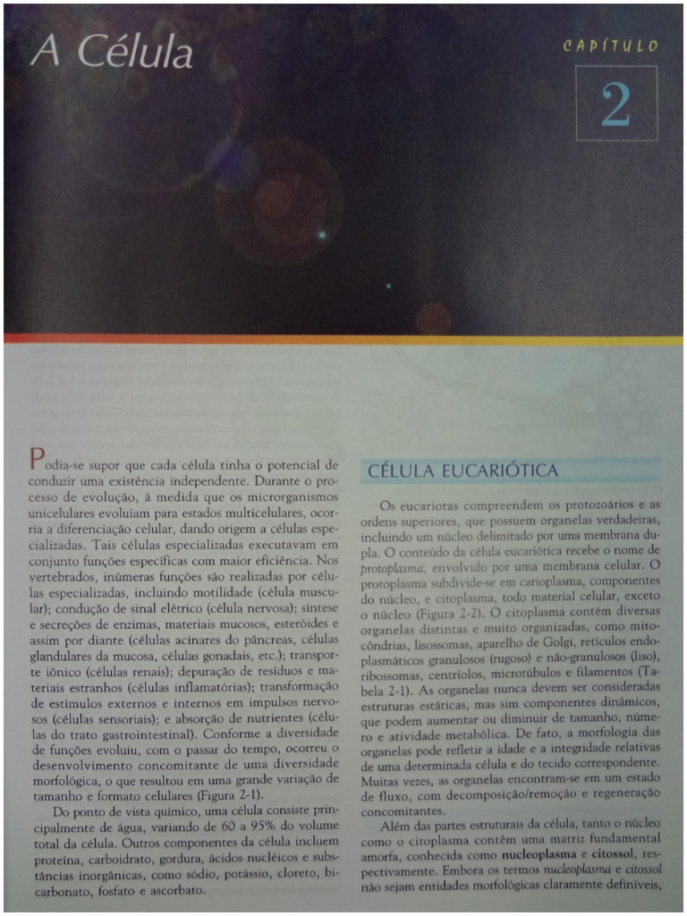 Capítulo 02 A Célula Pdf