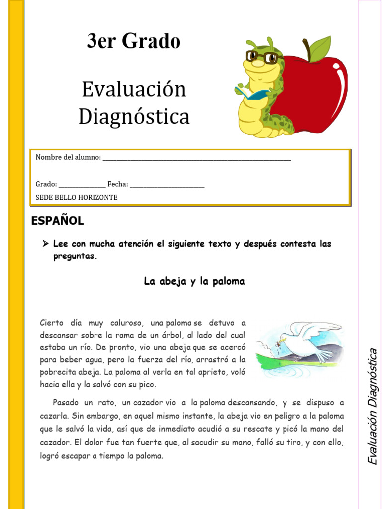 3er Grado Diagnóstico | PDF