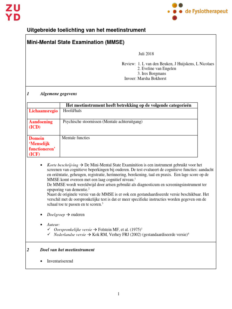 MMSE Form | PDF