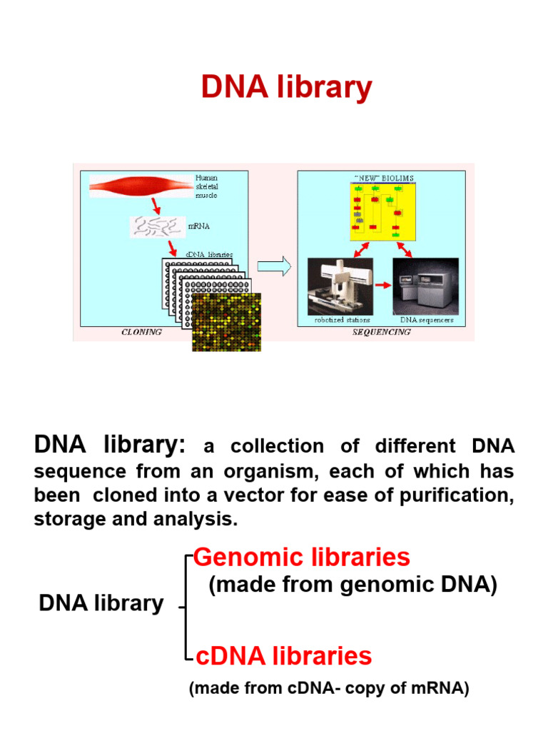DNA Library | PDF | Complementary Dna | Molecular Cloning
