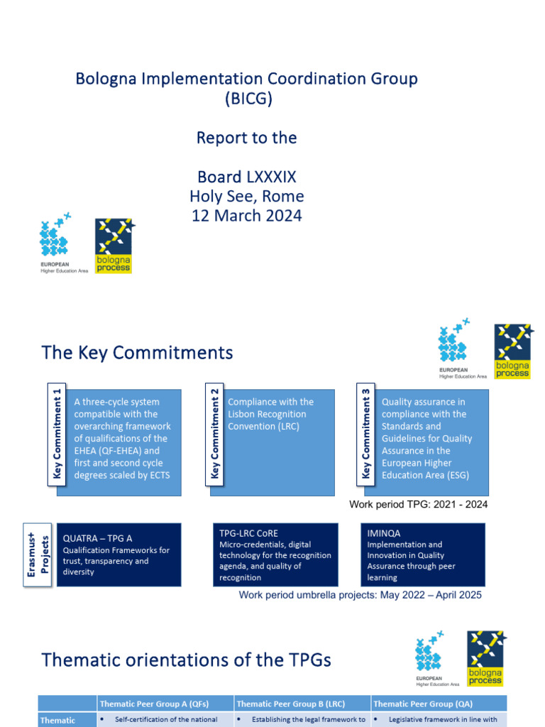 BICG Presentation | PDF