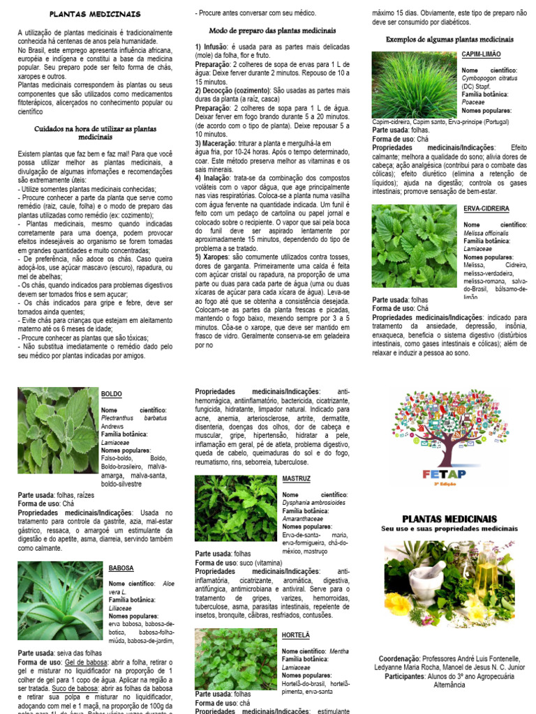 Folder - FETAP - PLANTAS MEDICINAIS | PDF | Chá | Medicina Clínica