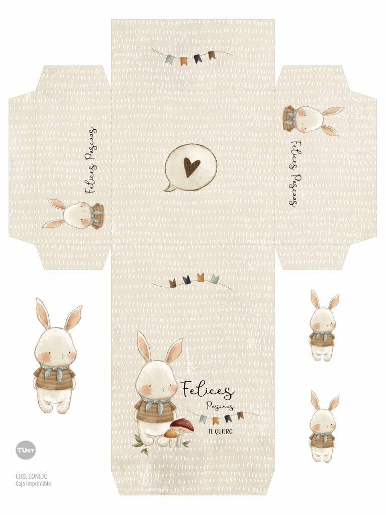 Caja Conejo Seg | PDF
