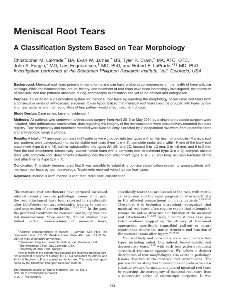 19 A Classification System Based On Tear Morphology | PDF | Knee ...