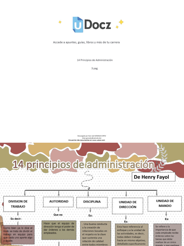 14 Principios | PDF