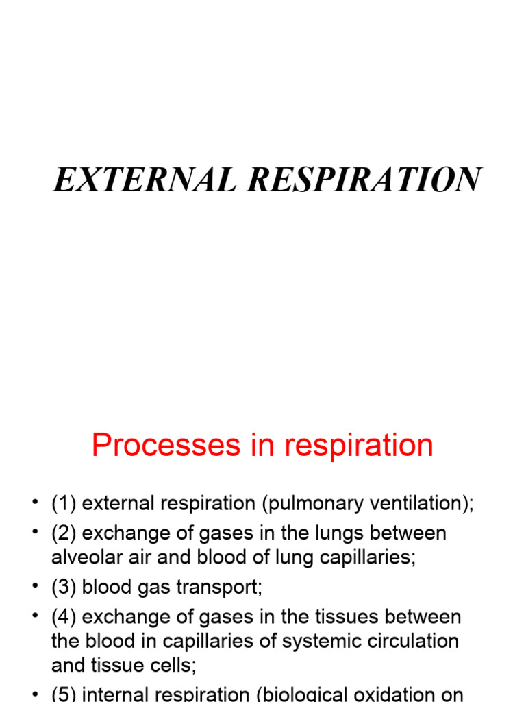 6.2 External Respiration | PDF | Respiratory System | Lung