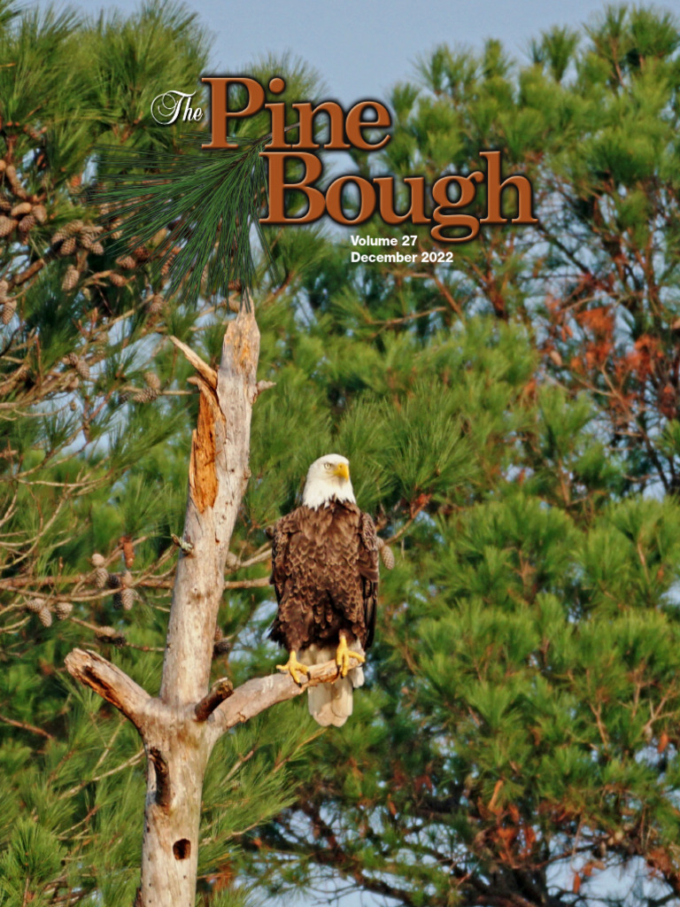 Pine Bough 2023 OCR | PDF | River | Dam