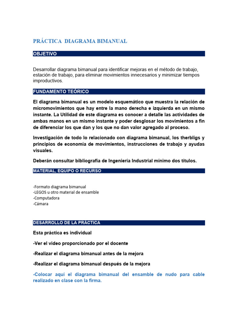 Práctica Diagrama Bimanual - 2023 | PDF